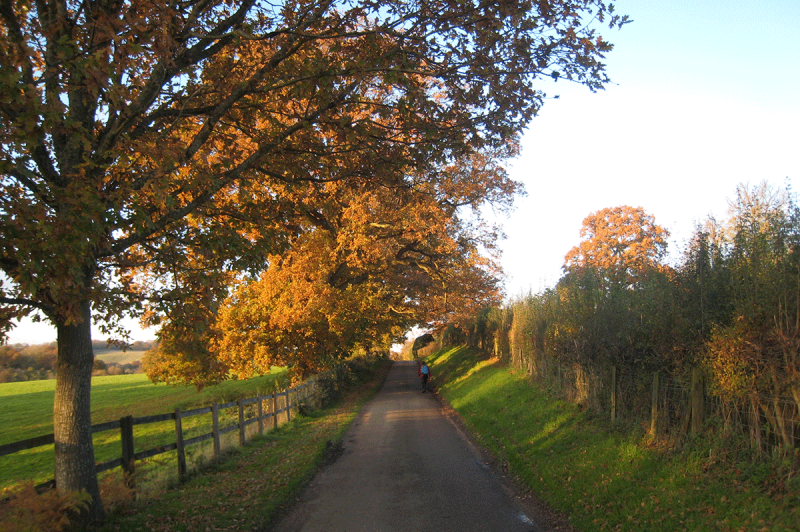 Hike South East | Guided hikes in Kent Surrey and Sussex
