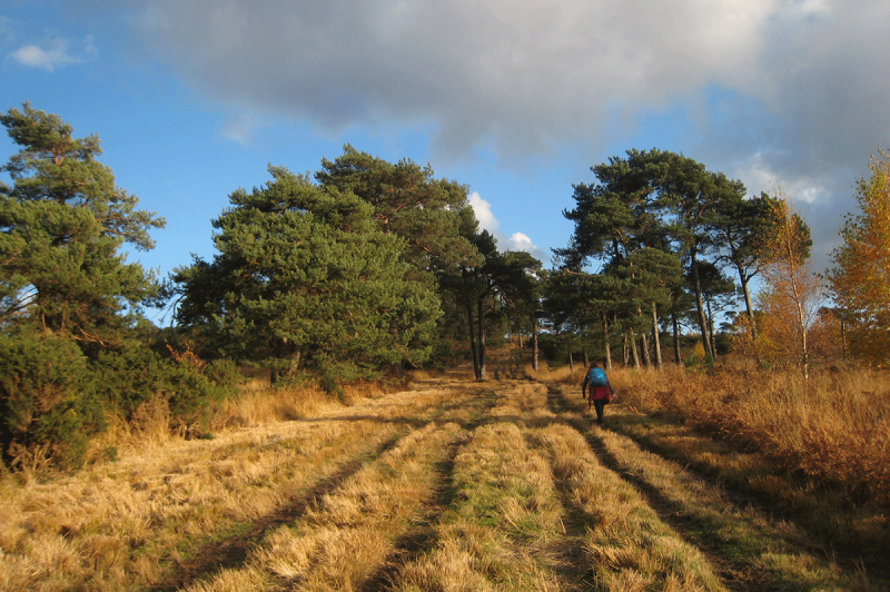 Hike South East | Guided hikes in Kent Surrey and Sussex