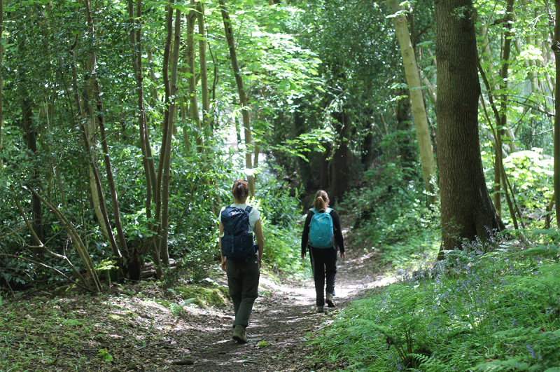Hike South East | Guided hikes in Kent Surrey and Sussex